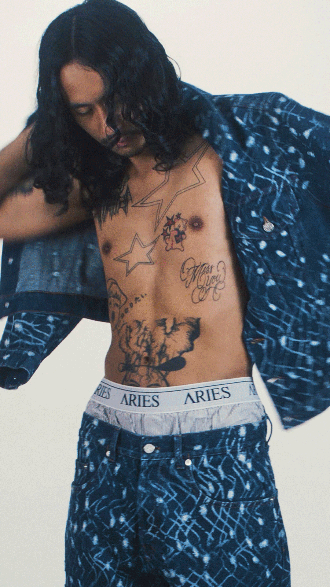 Official Website of ARIES™ – Aries